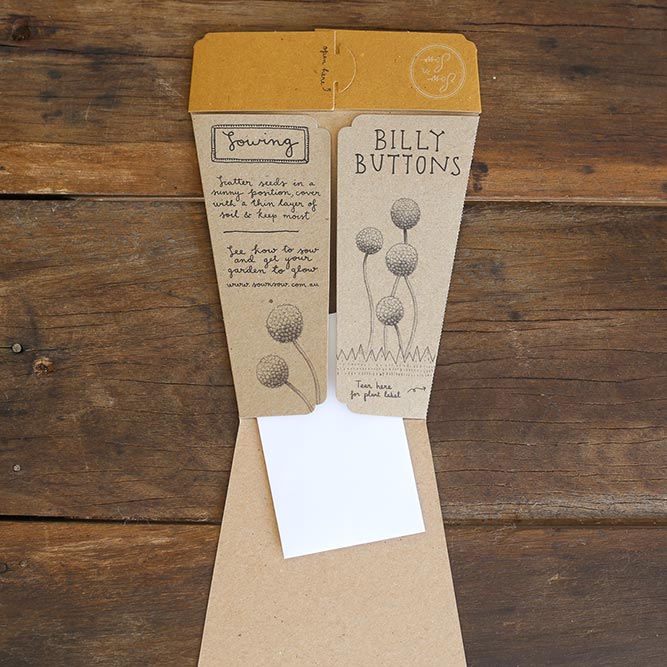 Billy Button Gift of Seeds Card | Birthday | Housewarming Gift Idea – saide